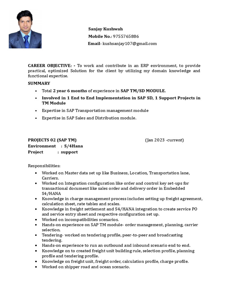 Sanjay Kushwah TM Resume | PDF | Computing | Information Technology