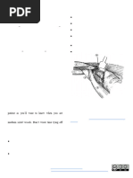 Jurnal 1 Modified Axillary Radiograph of The Shoulder A New Position ...