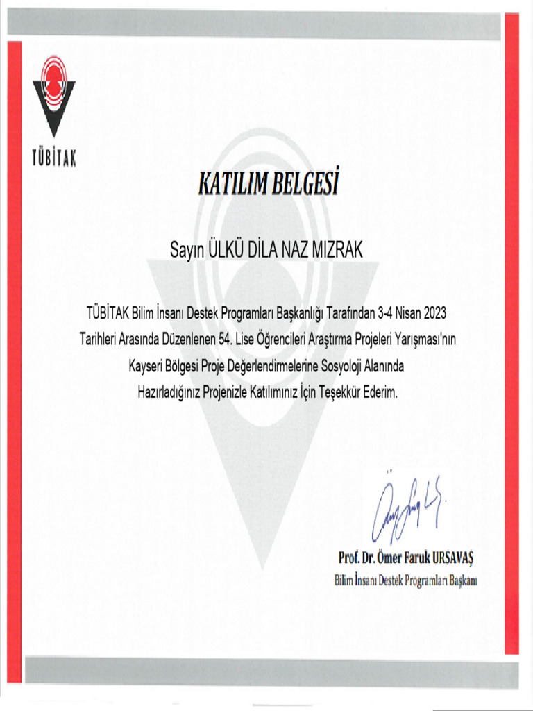 Katilim Belgesi | PDF