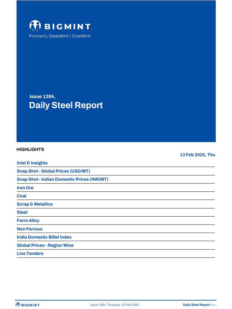 BigMint Report As On 13 Feb 2025 | PDF | Iron Ore | Scrap