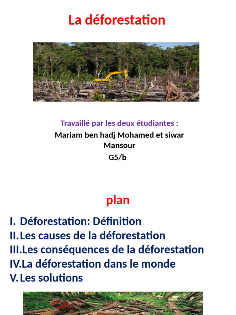 Comprendre la déforestation globale | PDF | Déforestation | Forêt