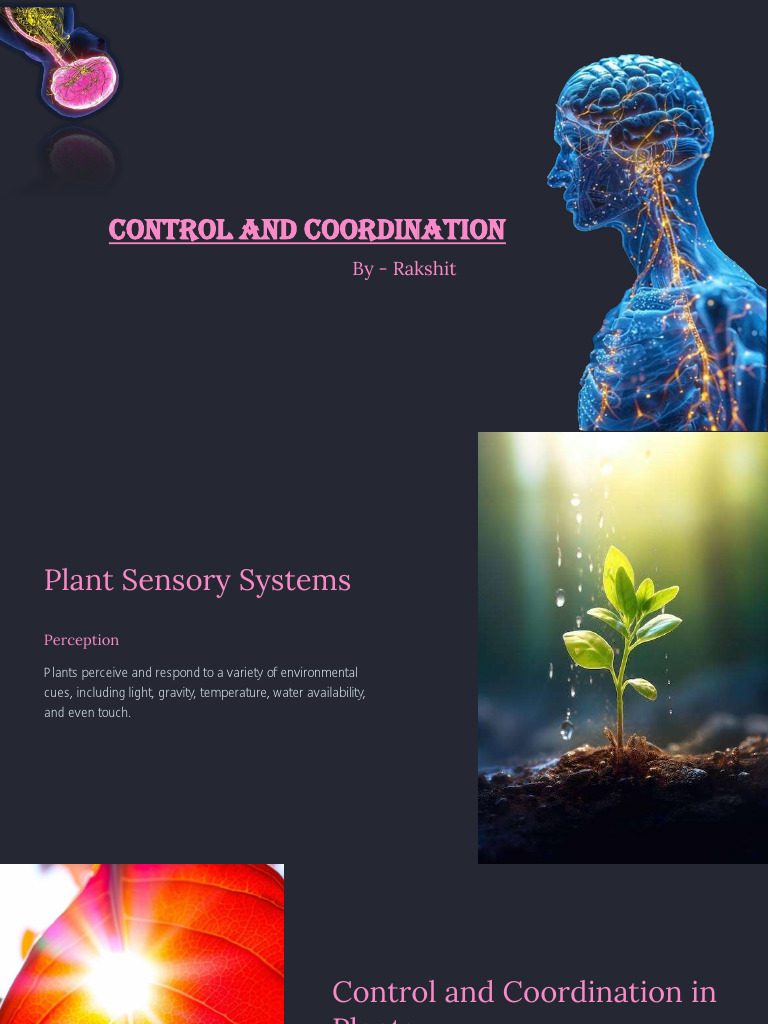 Control and coordination ppt | PDF | Nervous System | Human Body