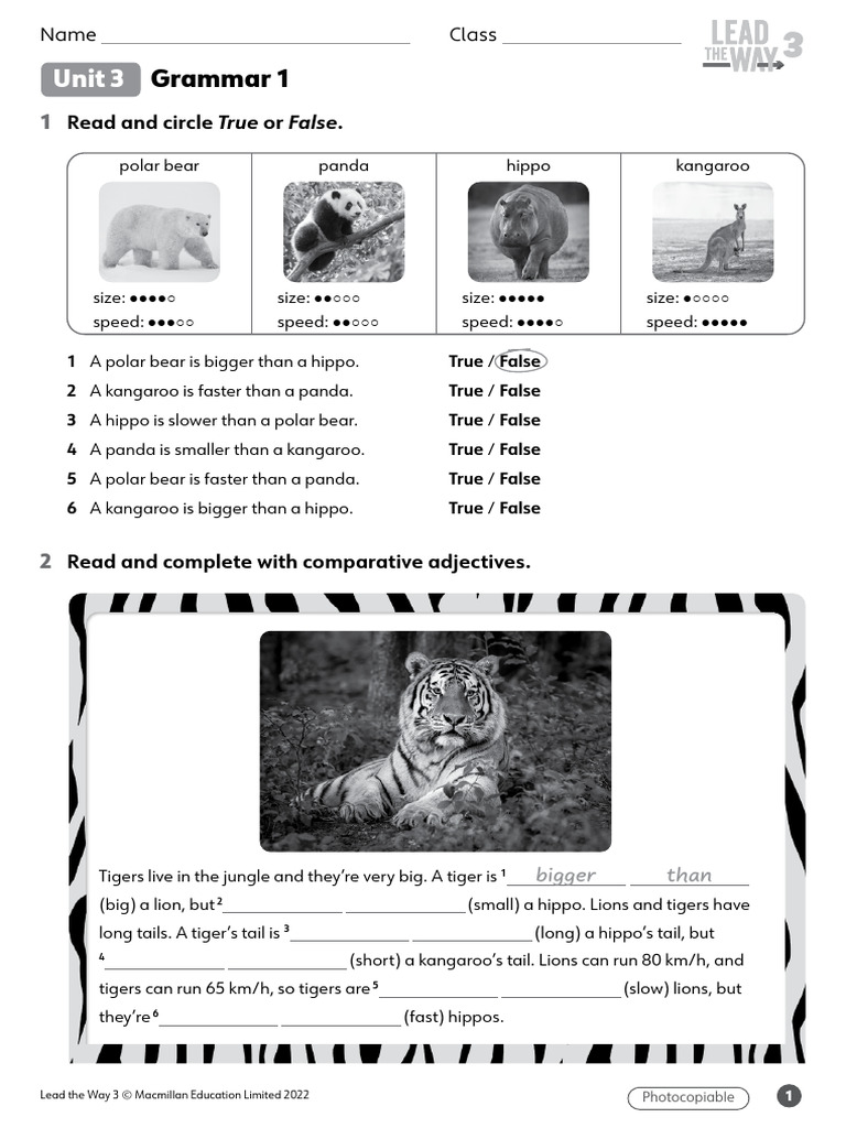 LTW 3 Worksheets Grammar U3 1 | PDF