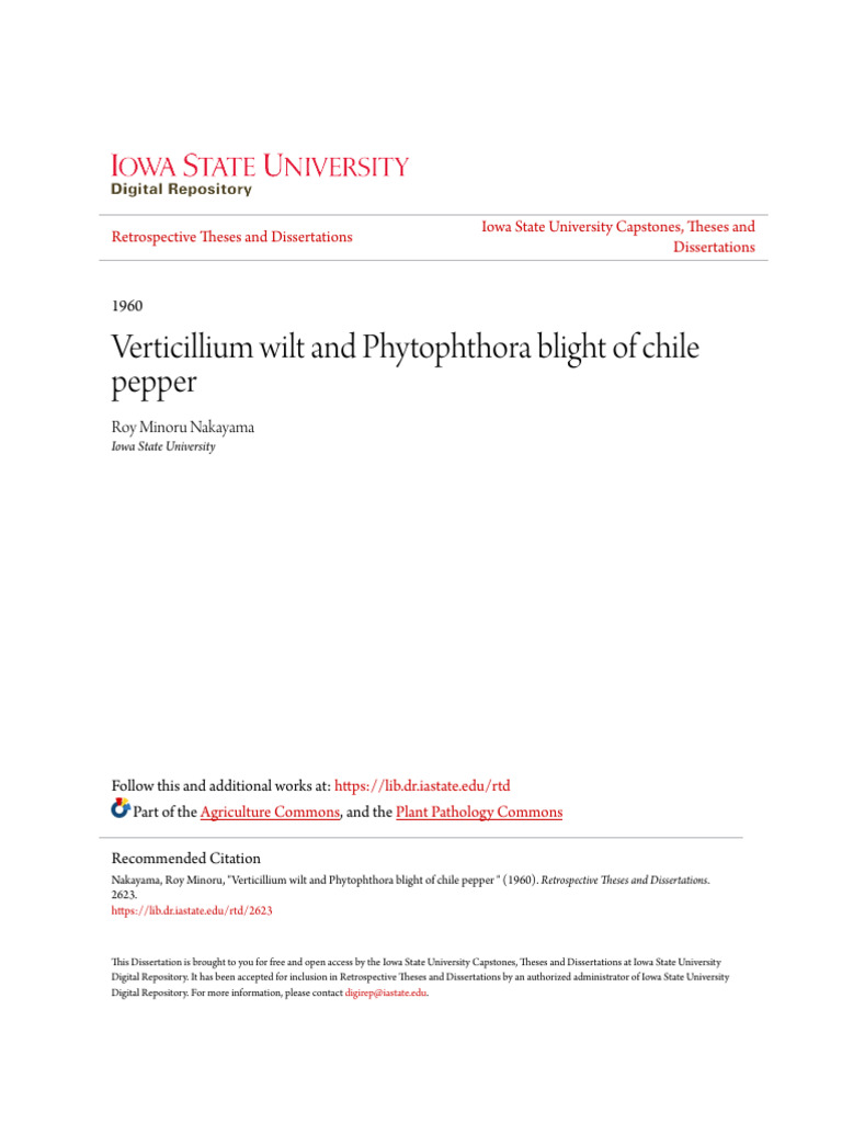 Verticillium Wilt in Chile Peppers | PDF | Capsicum | Root