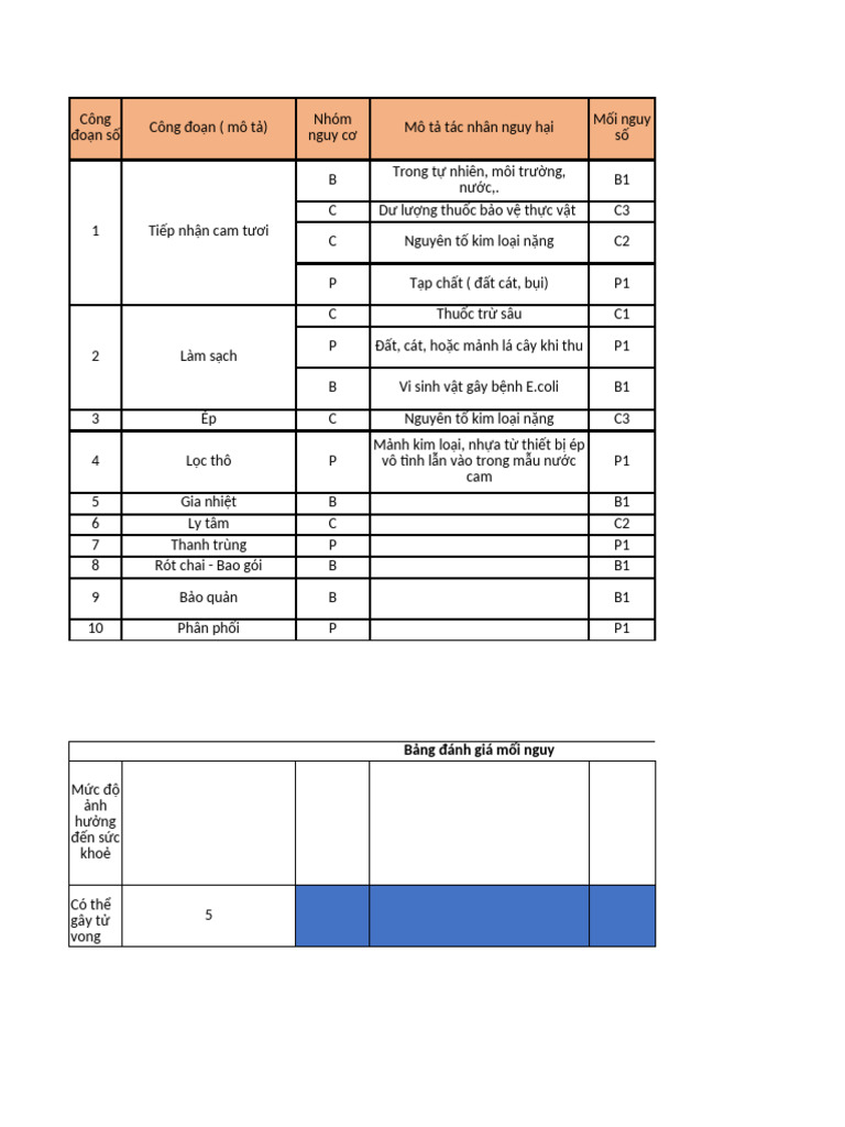 Phân tích mối nguy N8 | PDF