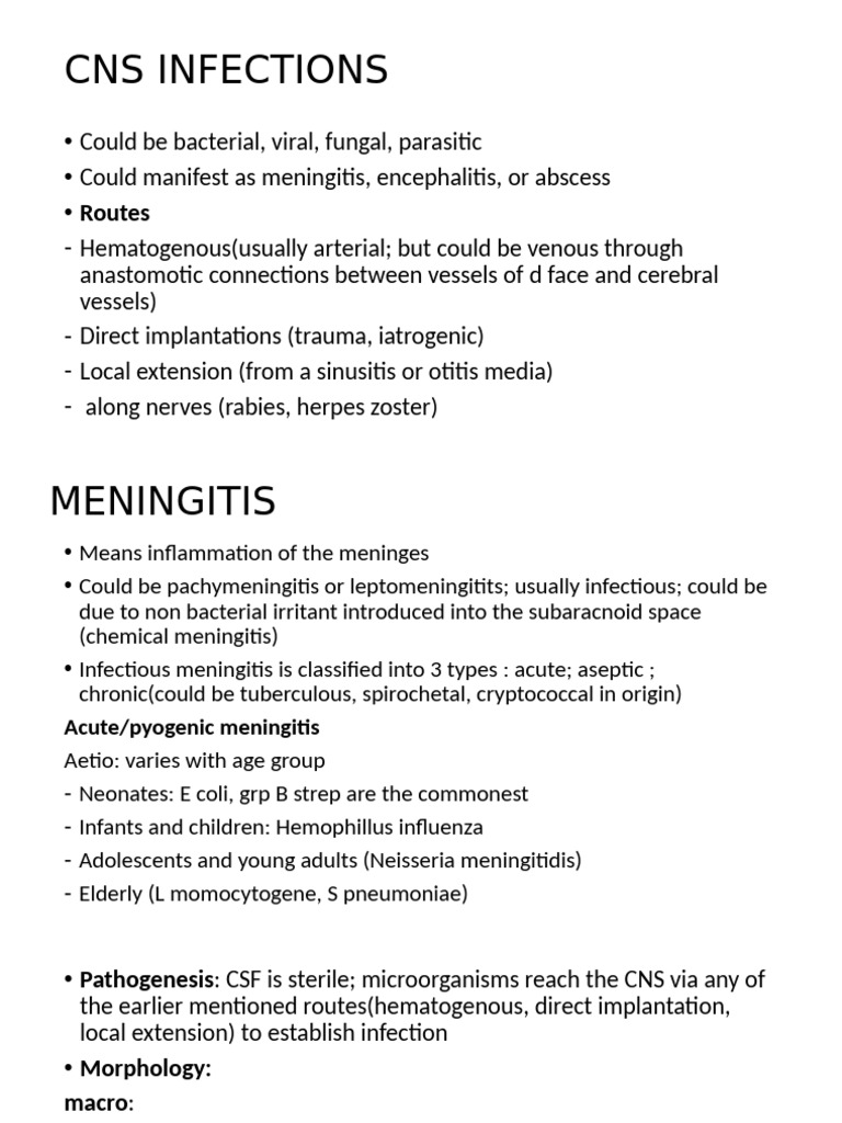 CNS Pathology 2 by Prof. Igbe | PDF | Meningitis | Amyloid Beta