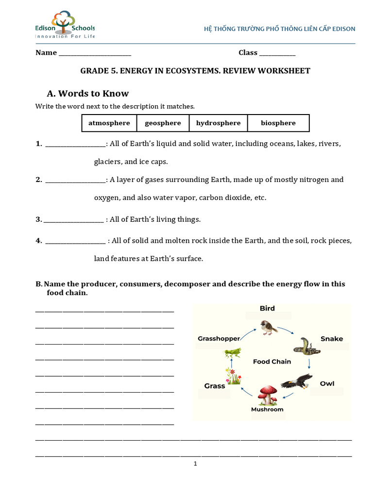 (HW) Grade 5. Review Worksheet For Mini Test 3 | PDF | Soil | Water