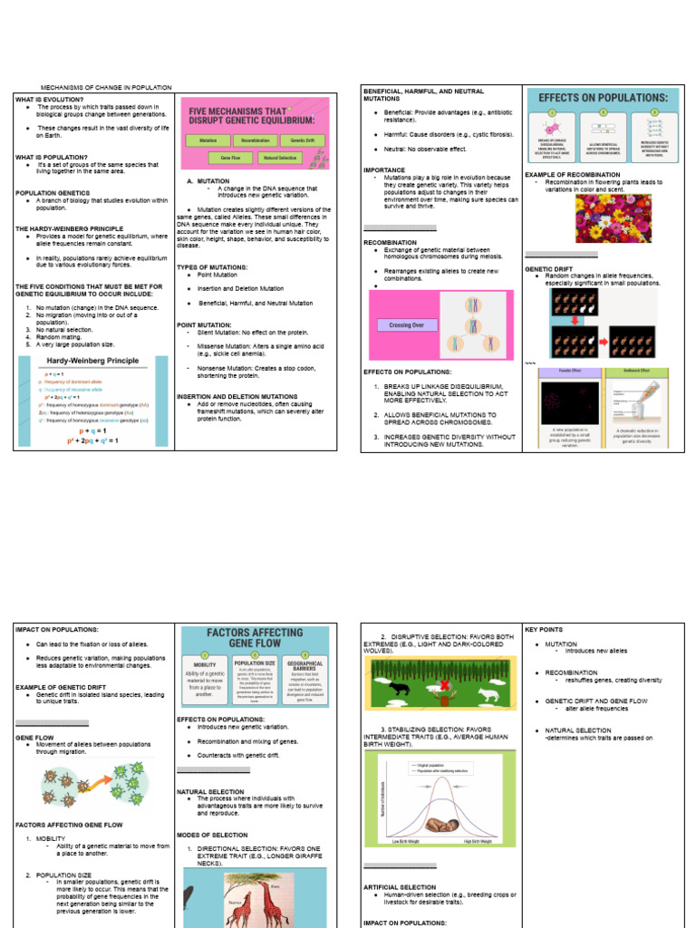 Gen - Bio 2 | PDF | Mutation | Genetics