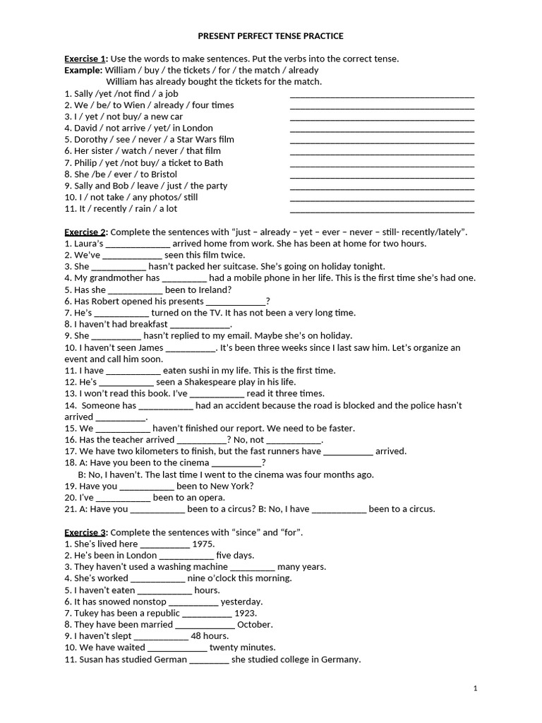 Present Perfect Tense Practice | PDF