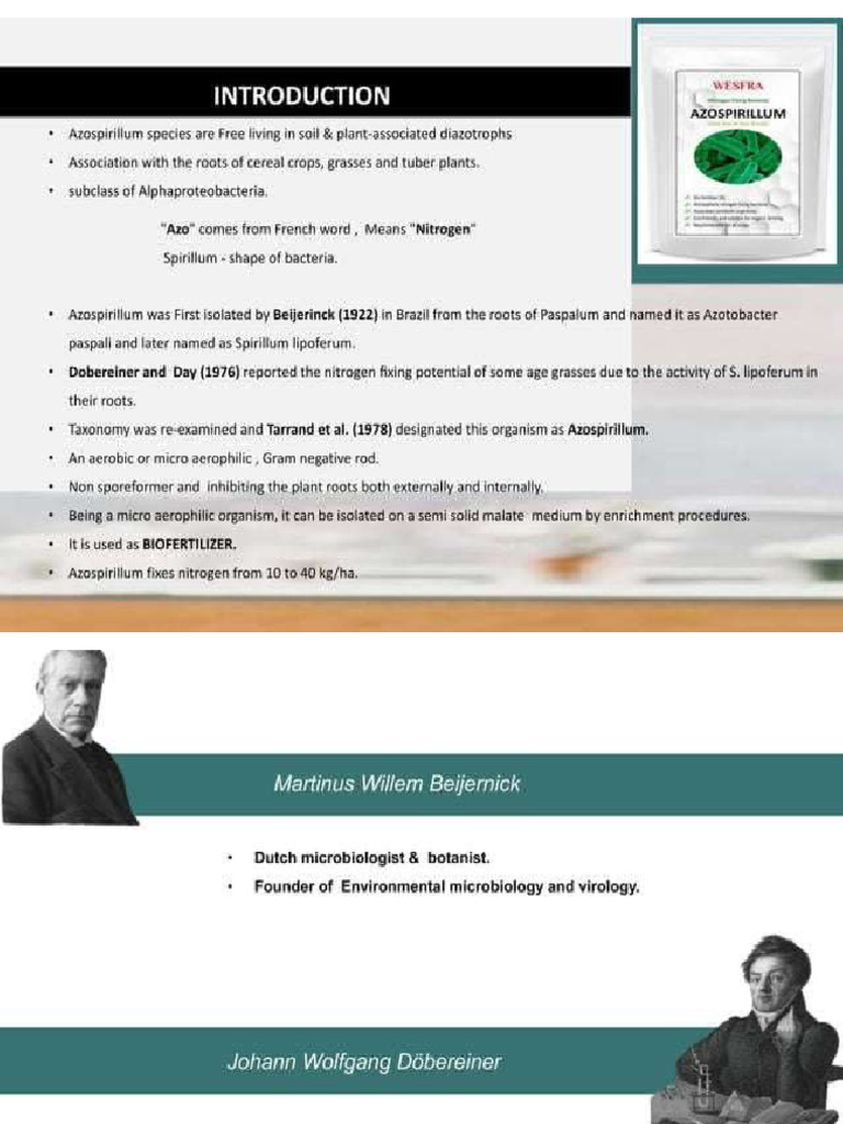 Azospirillum Isolation | PDF