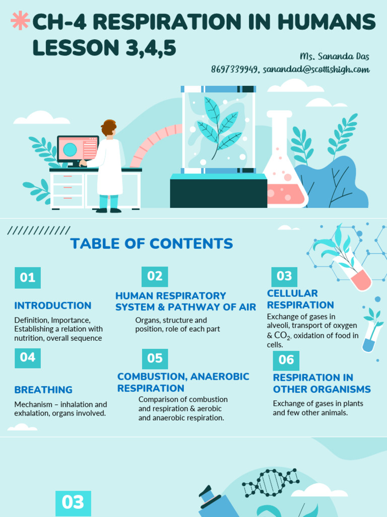 CH 4 LESSON 3,4,5 | PDF | Respiratory System | Blood