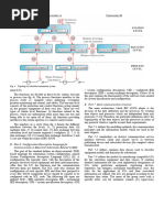 Definition of CSD Code Numbers: P I C L S D N R P, I, C, L, S, D, N, R ...