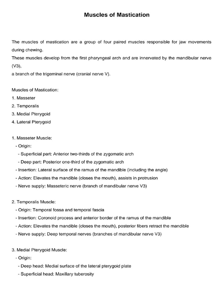 muscle of mastication | PDF