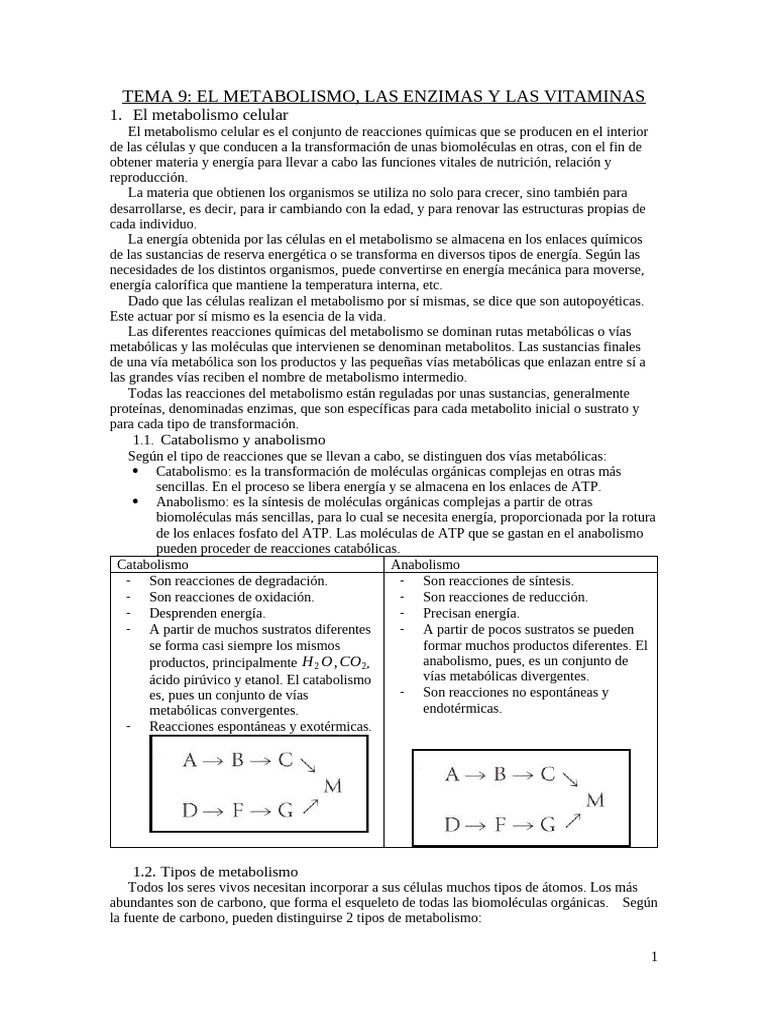 Tema 9 | PDF | Inhibidor de la enzima | Metabolismo