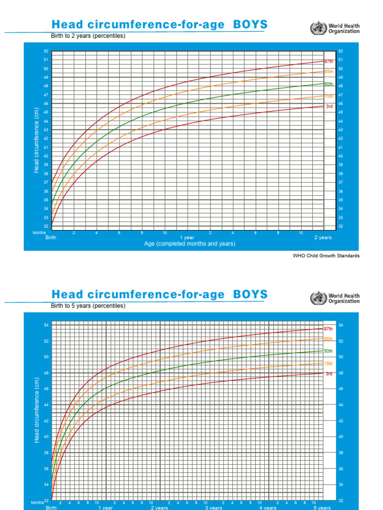 Growth Charts | PDF | Percentile | Human Body Weight