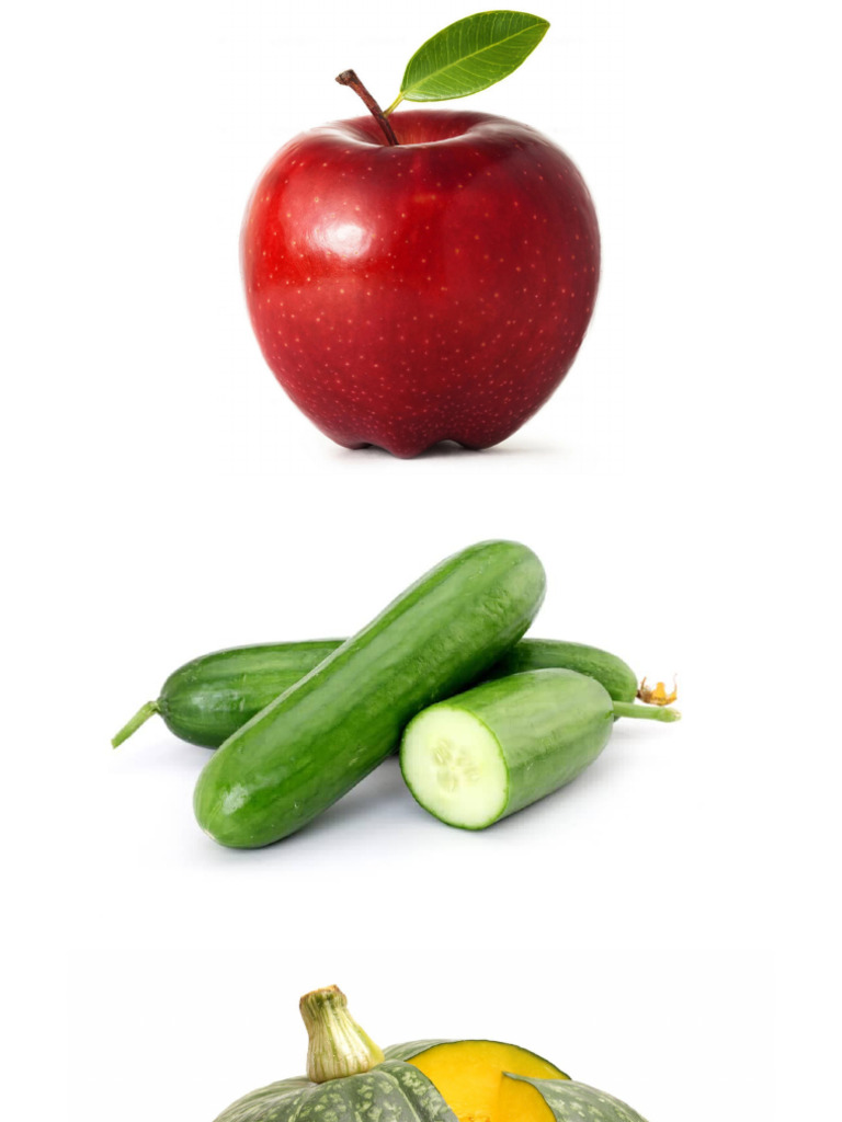 Kingdom Animalia New 24 25 | PDF | Invertebrate | Vertebrates