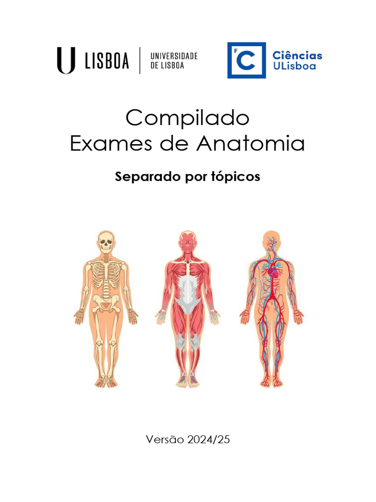 Compilado Exames Anatomia - COM RESPOSTAS | PDF | Vértebra | Coluna vertebral