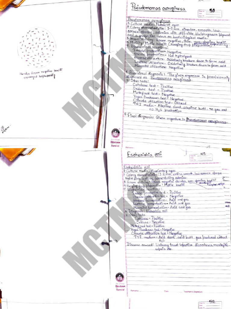 Bacteriology Practical File | PDF | Hydrogen Compounds