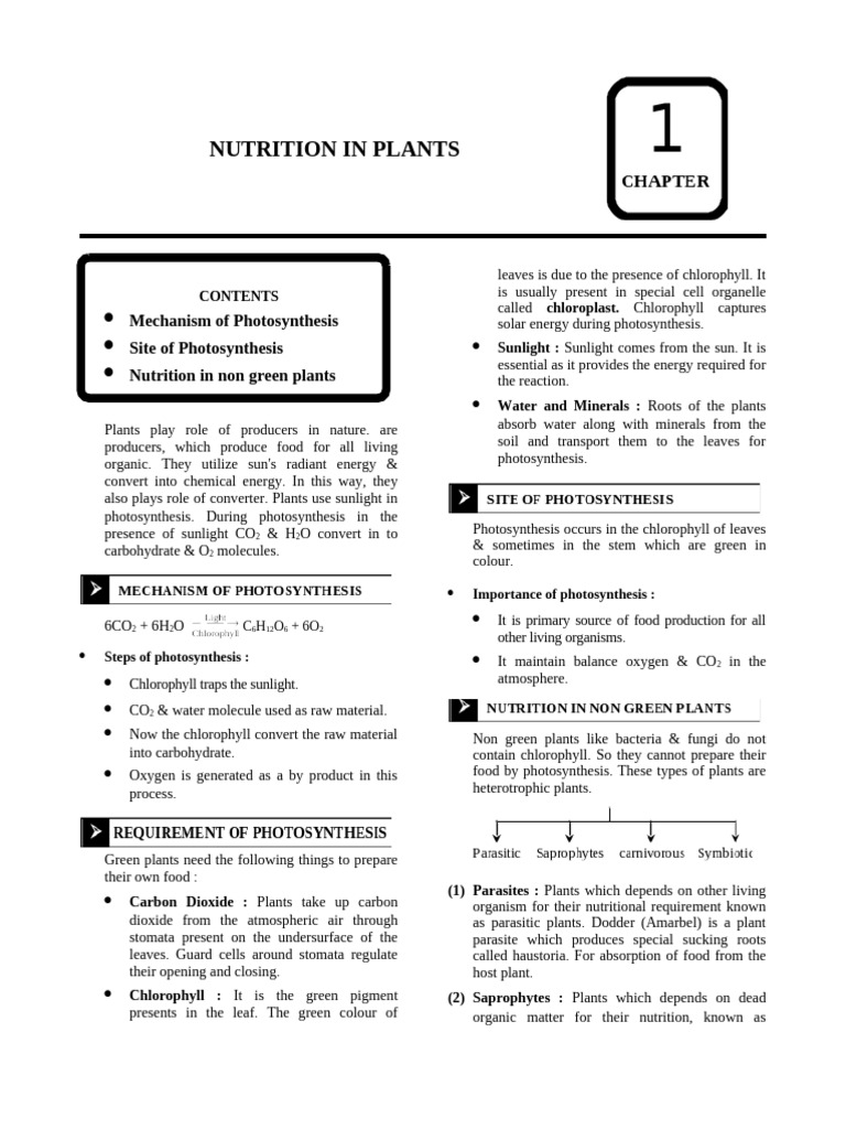 1. Nutrition in Plants | PDF | Photosynthesis | Nutrition