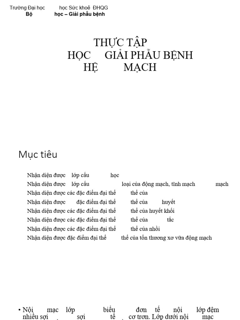 Thuc Tap Mo-GPB Tim Mach Y2023 | PDF