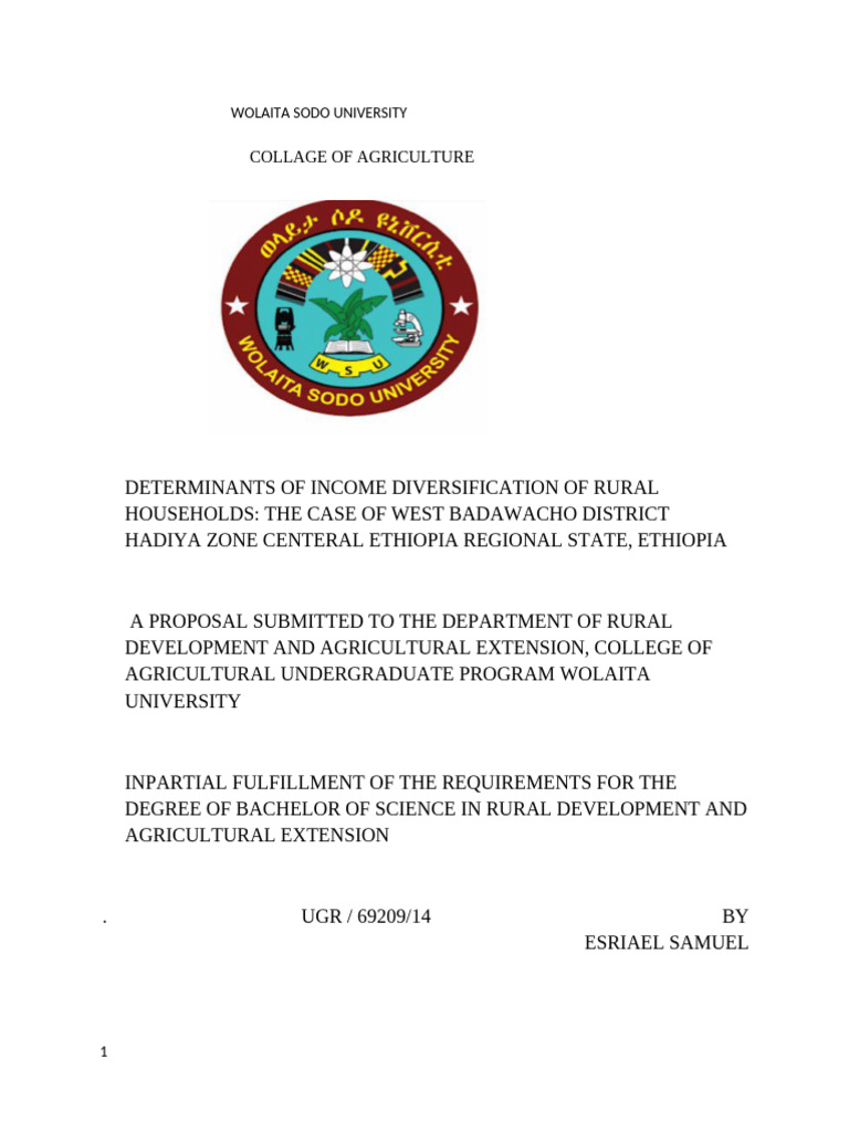 Income Diversification in Badawacho, Ethiopia | PDF | Agriculture | Income