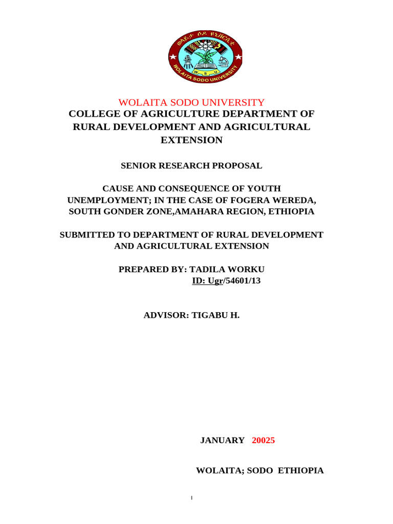 Tadila comment.doc2 | PDF | Unemployment | Sample Size Determination