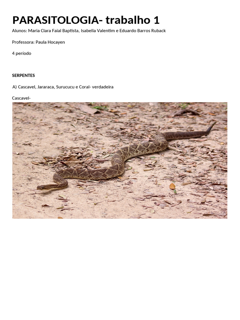 Parasitologia - Trabalho 1 | PDF