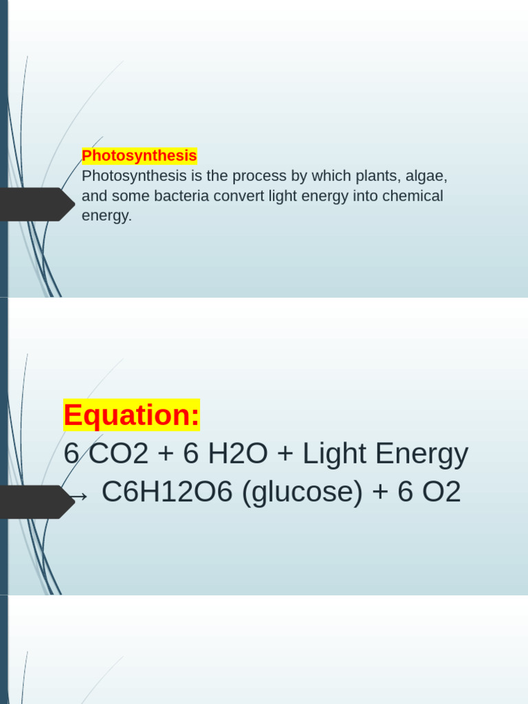 Photosynthesis and Fermentation Guide | PDF | Cellular Respiration ...