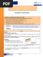 Graad 6 - Werkopdrag 1 Getalsinne Numeriese en Geometriese Patrone | PDF