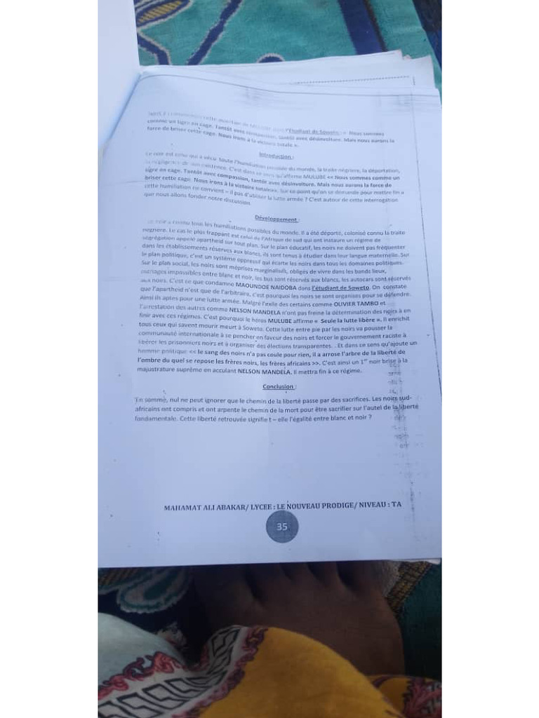 PFD Created 1738790182855 | PDF