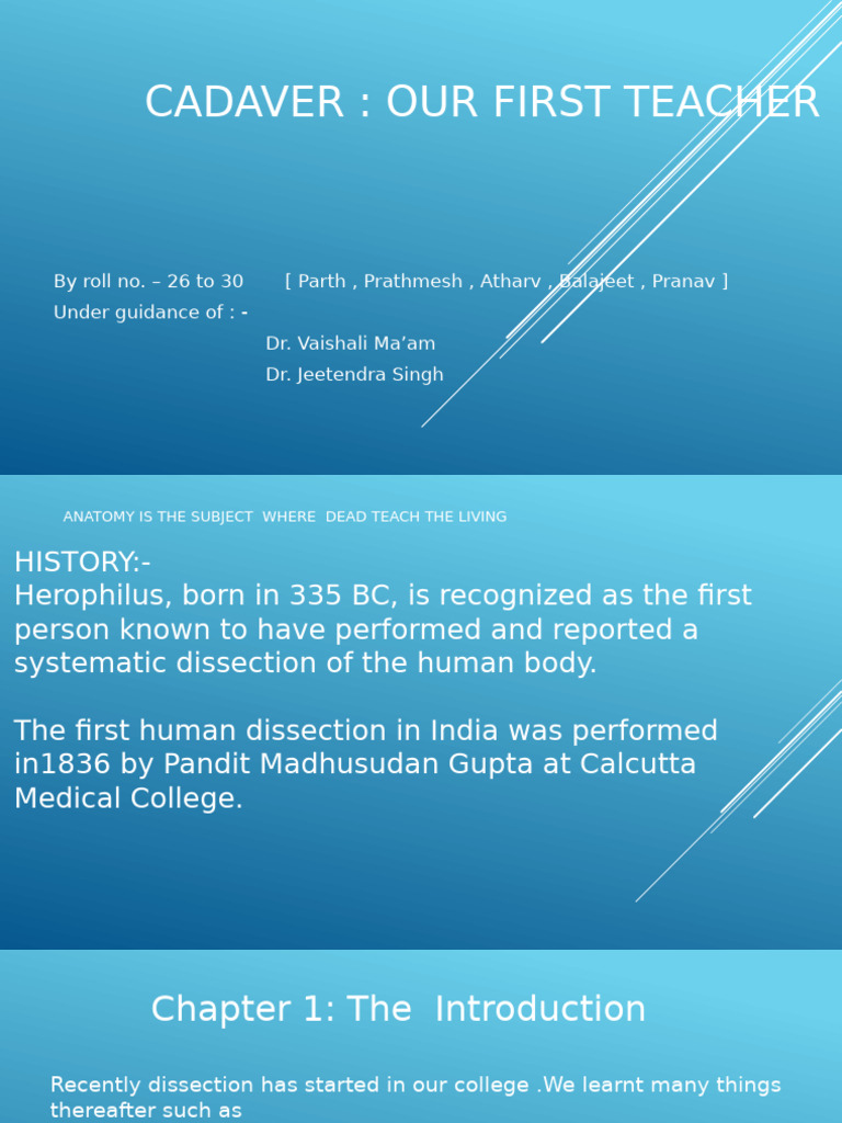 Cadaver | PDF | Cadaver | Anatomy