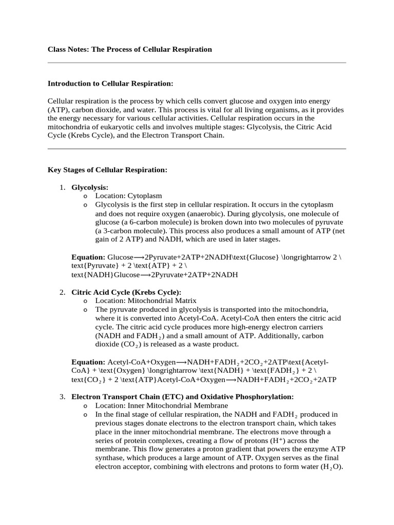 Class Notes ON The Process of Cellular Respiration | PDF | Cellular ...