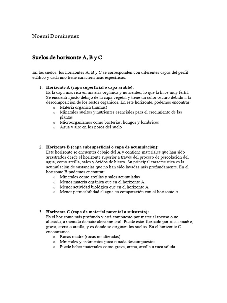 Noemi Domínguez | PDF