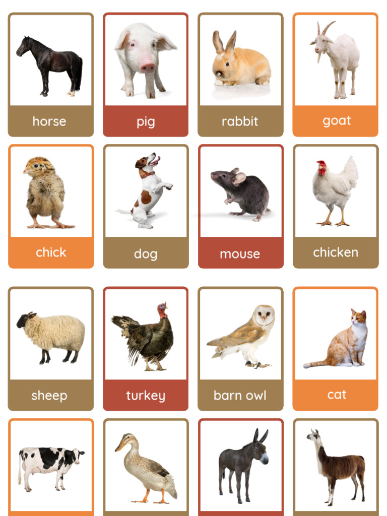 Gold Red Fun Farm Animals Flashcards | PDF