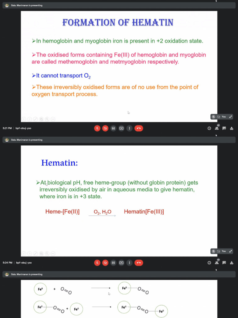 Formation of Hematin | PDF