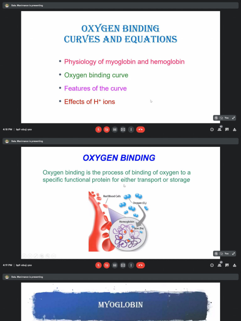 Oxygen Binding - Curves and Eqns | PDF