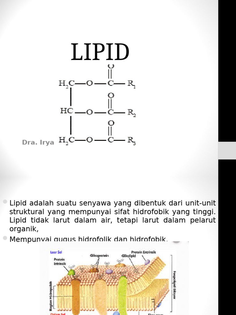 Klasifikasi dan Fungsi Lipid dalam Pangan | PDF