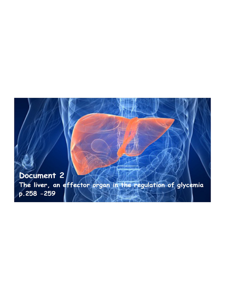Chapter 13 - Glycemia - Document 2 - The Liver, An Effector Organ in ...