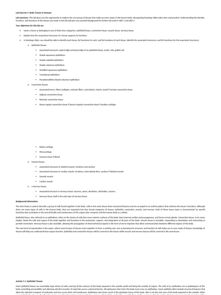 Lab Exercise 2 Body Tissues in Human 1155 | PDF | Epithelium ...