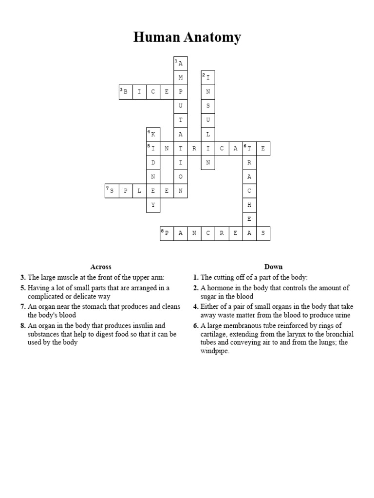 Anatomy Crossword for Students | PDF | Human Body | Human Anatomy