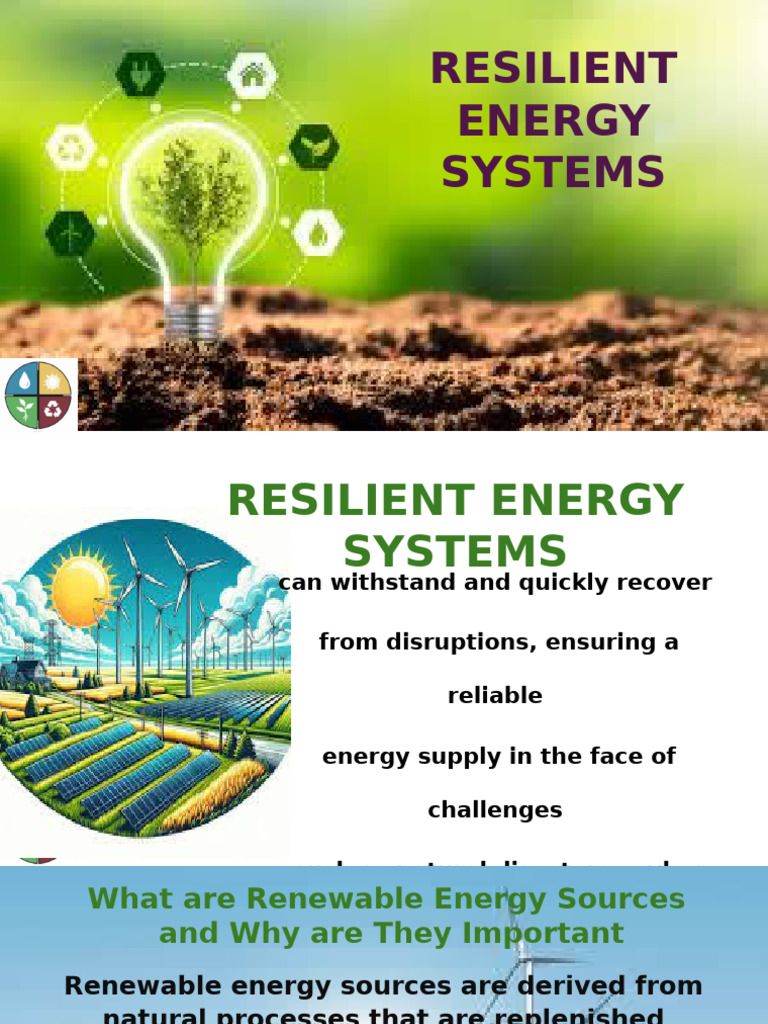 Energy Resilience | PDF