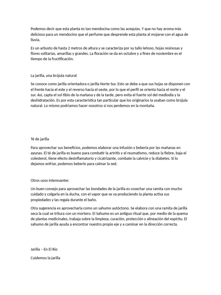 Propiedades y usos de la jarilla mendocina | PDF | Té