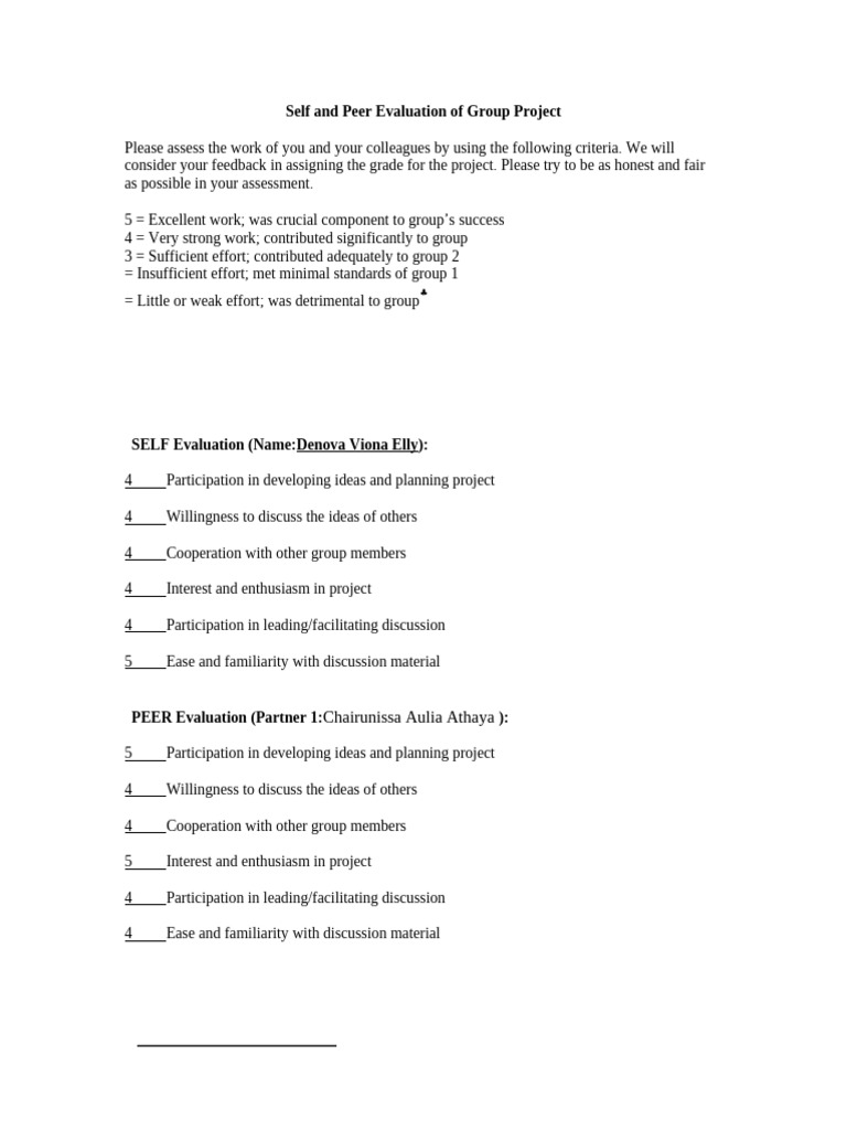 Group Project Self and Peer Evaluation | PDF | Experience | Human ...