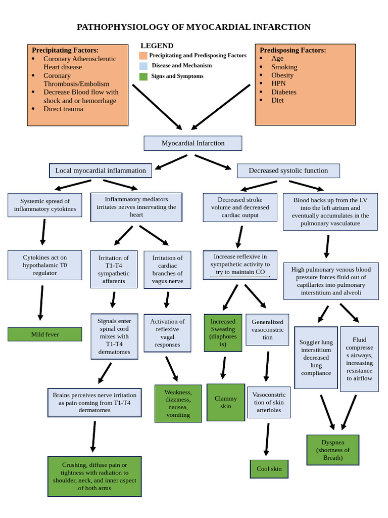 2 Pathophysiology of Myocardial Infarction | PDF | Myocardial ...