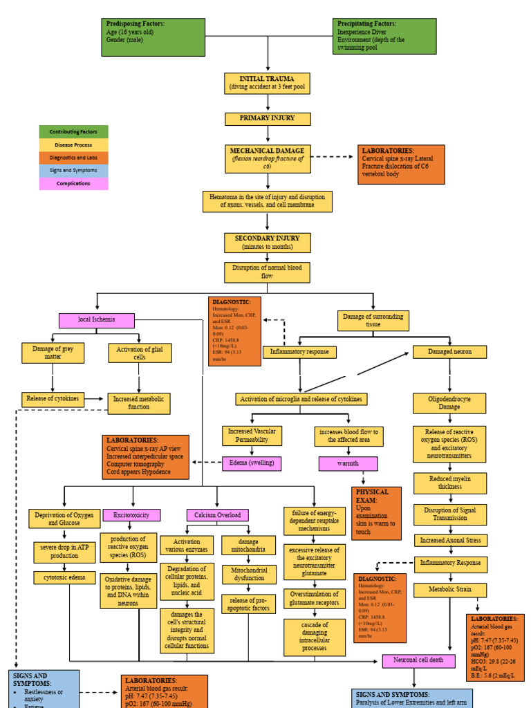 SCI patho | PDF | Diseases And Disorders | Medical Specialties