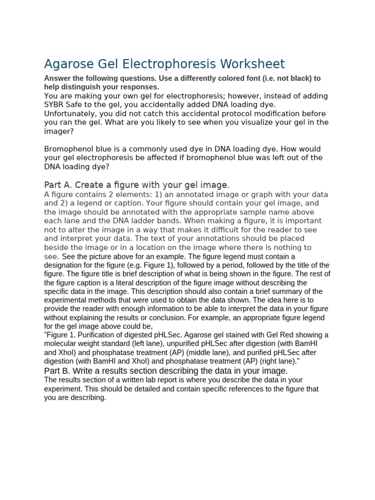 Agarose Gel Electrophoresis Worksheet | PDF | Gel Electrophoresis ...