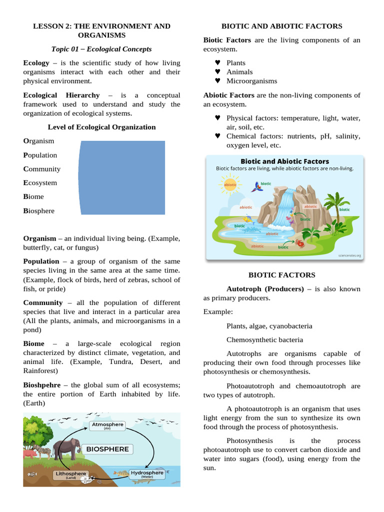 LESSON 2 - Environmental Science | PDF | Plant Nutrition | Ecosystem