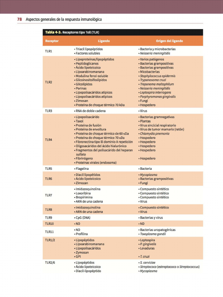 Receptores TLR en la Inmunidad | PDF | Receptor de peaje | Bacterias ...