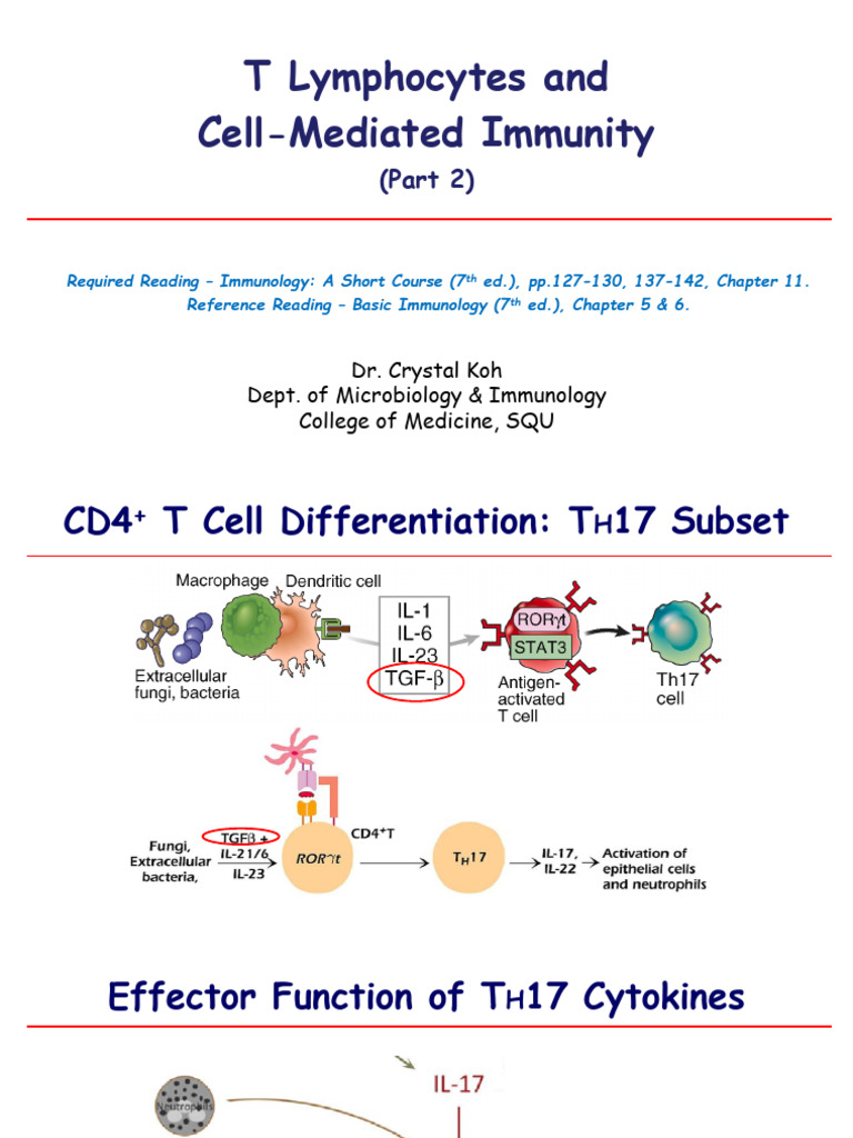 L05 - T Lymphocytes and Cell-Mediated Immunity (Part 2) - CK - 2025 ...