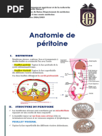 Anatomie des gouttières pariéto-coliques | PDF | Péritoine | Foie
